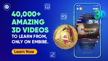 Cambridge International Lower Secondary Stage 8: Embibe